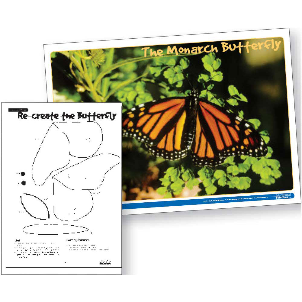Monarch Butterflies – Science Resource Box