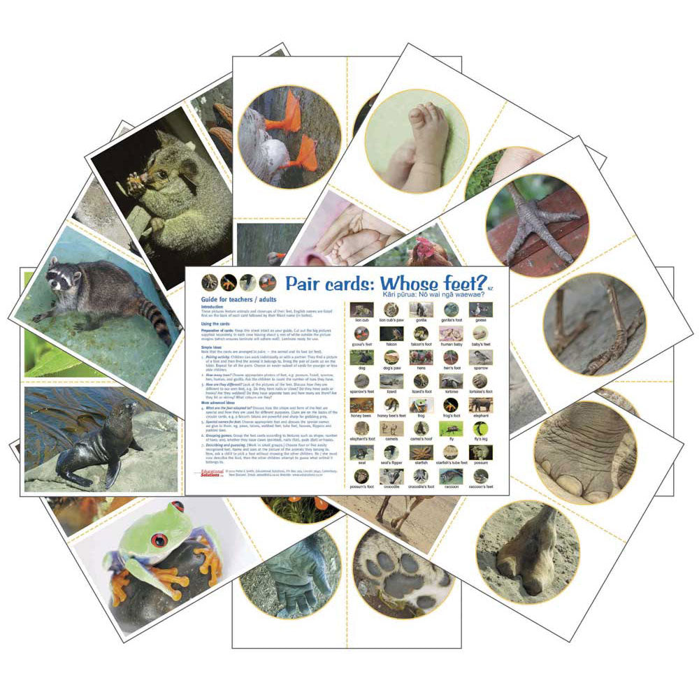 Whose Feet? – Science Resource Box