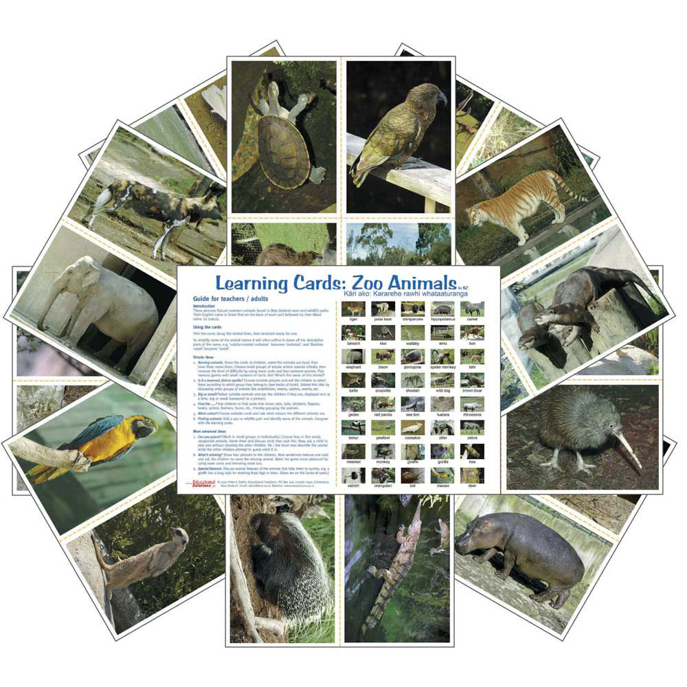 Zoo Animals – Science Resource Box