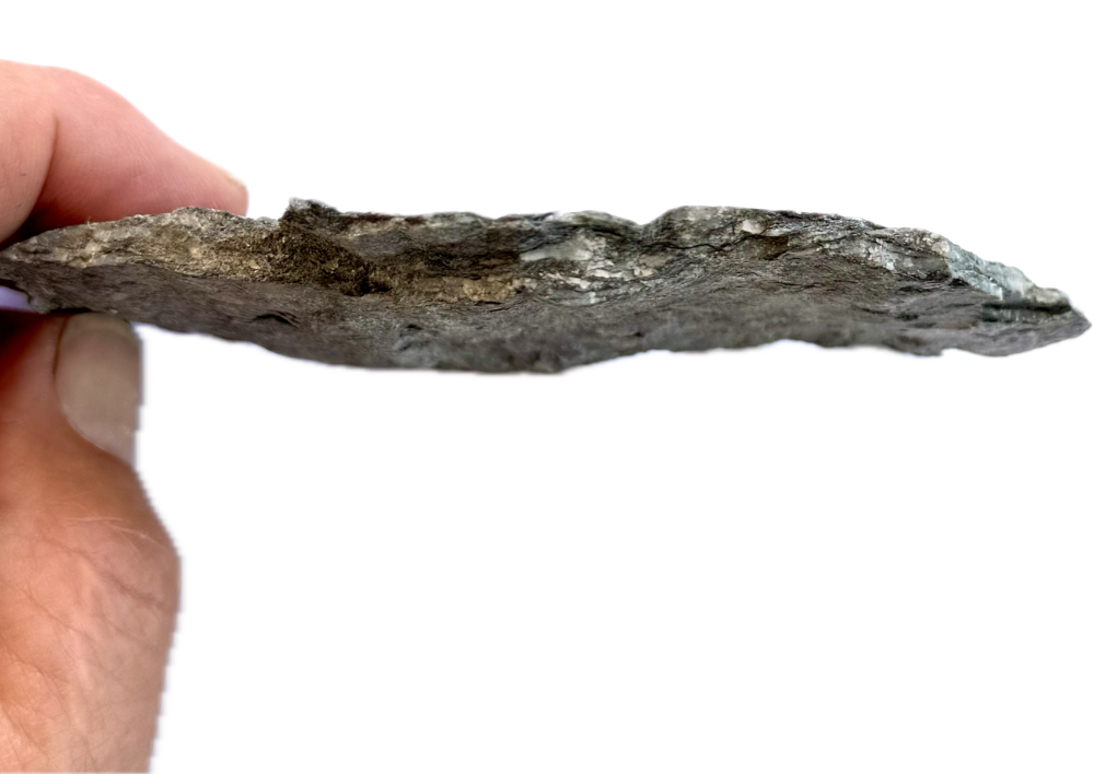 Shale – Science Resource Box