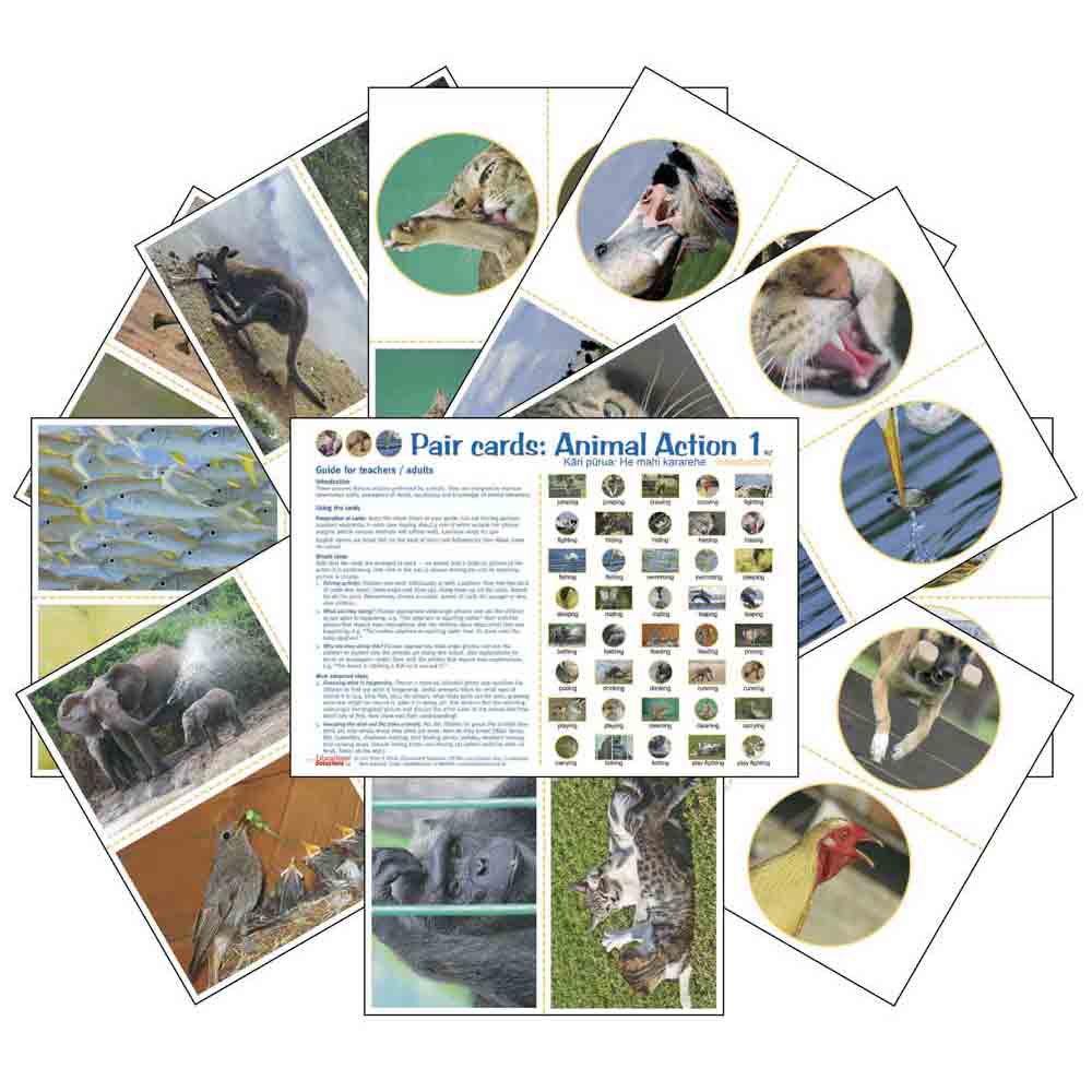 Animal Action 1 – Science Resource Box