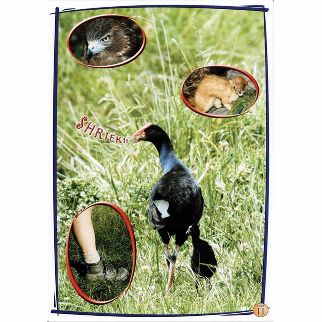 The bird with the talking bottom – Science Resource Box