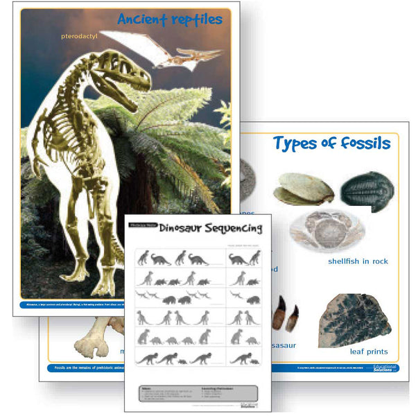 Dinosaurs and Fossils – Science Resource Box