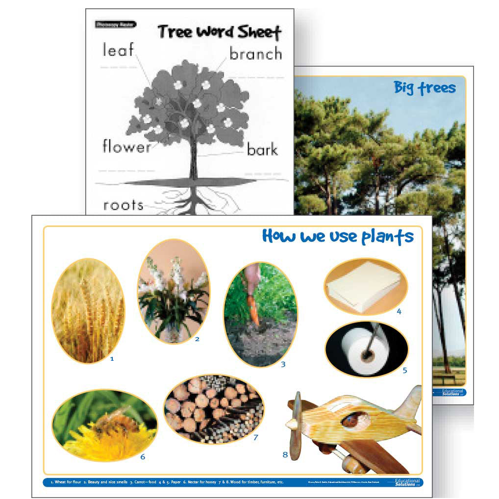 Discover Plants – Science Resource Box