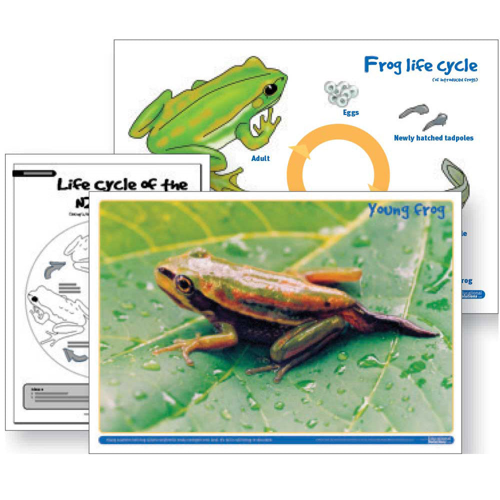 Frogs – Science Resource Box