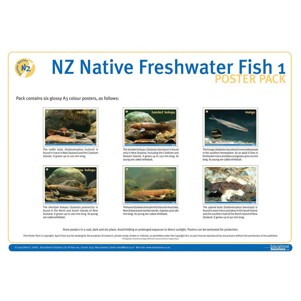 NZ Native Freshwater Fish 1 DIGITAL FILE – Science Resource Box