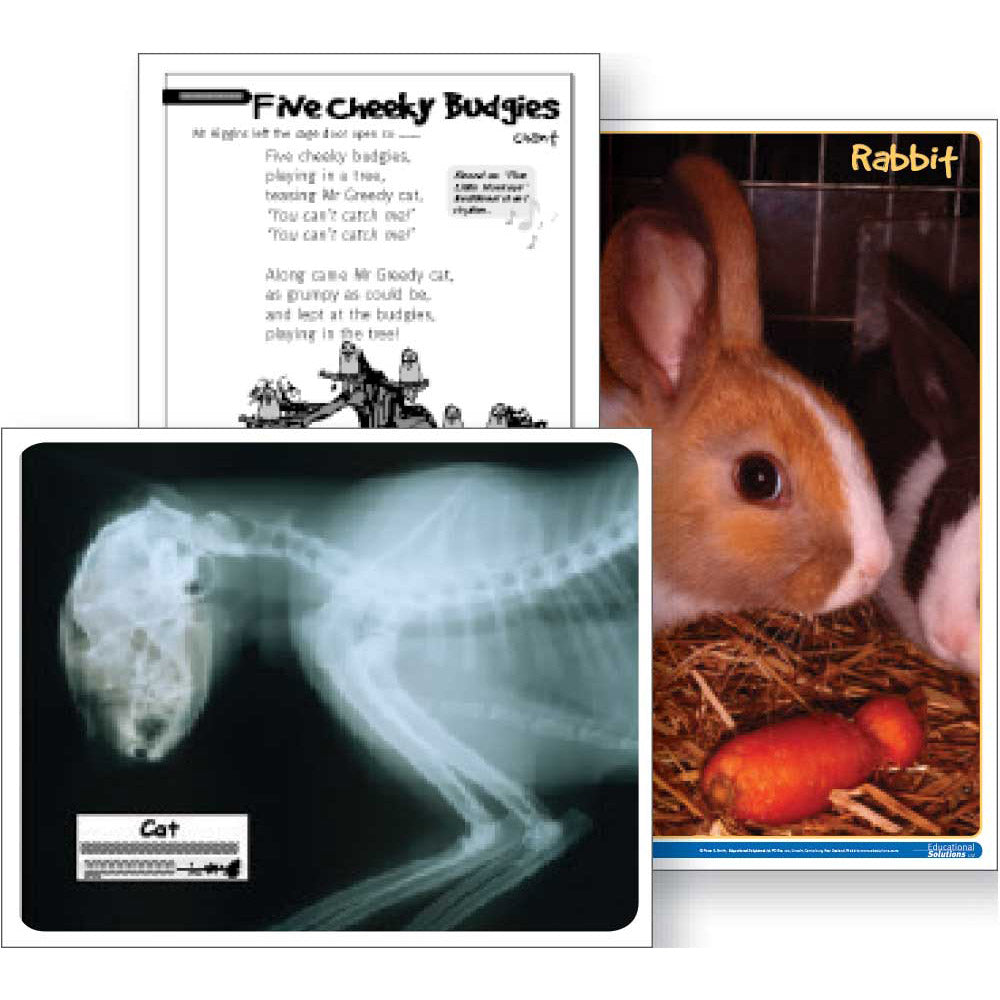 Pets – Science Resource Box